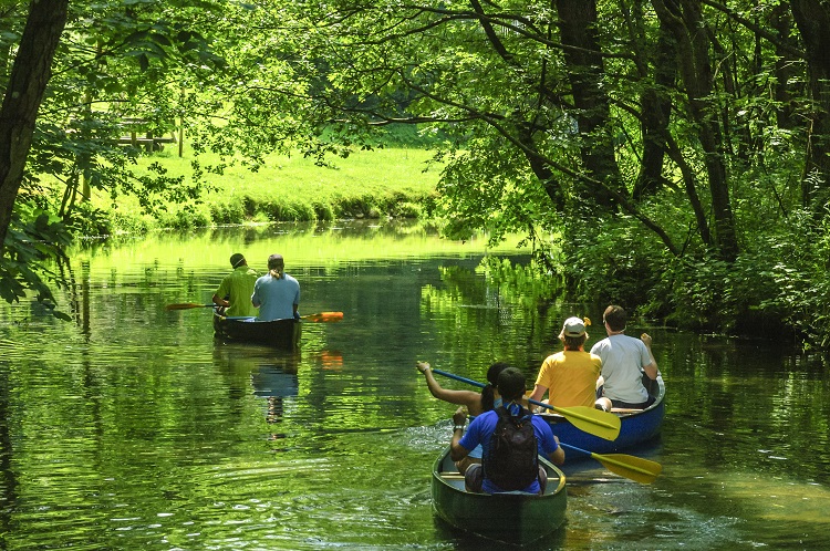 7 Tips to Stay Safe on Canoes & Kayaks | Acuity