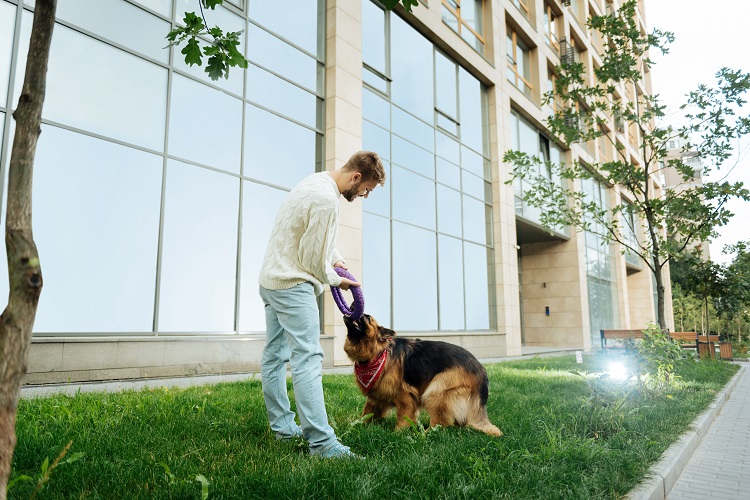 Tips to Handle Dogs as a Property Owner | Acuity