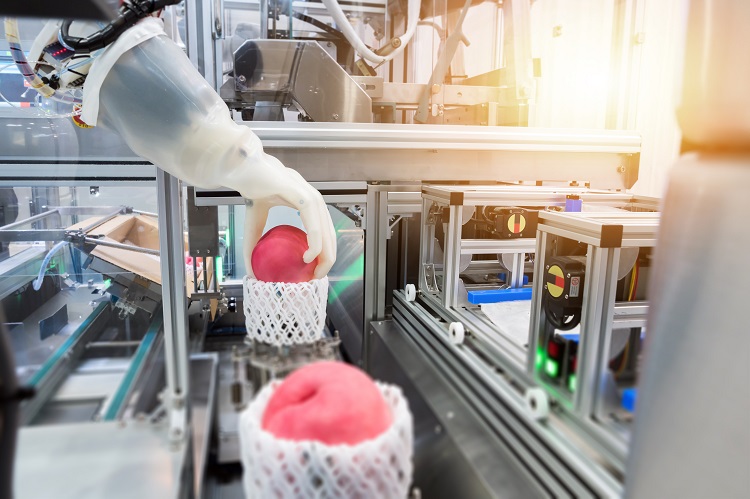 Interview with Simon Whitton: Starting with Robotics | Acuity