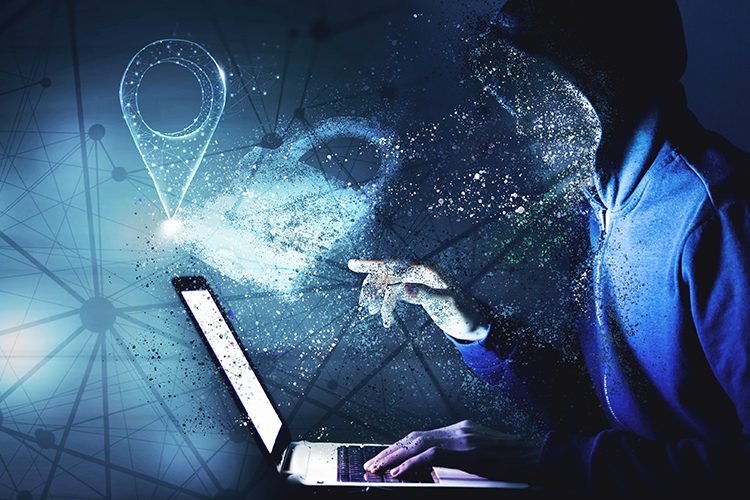 acuitycms:twelveColumn